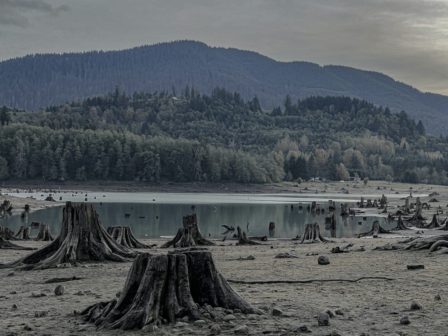 Déforestation : quand la finance alimente un désastre écologique