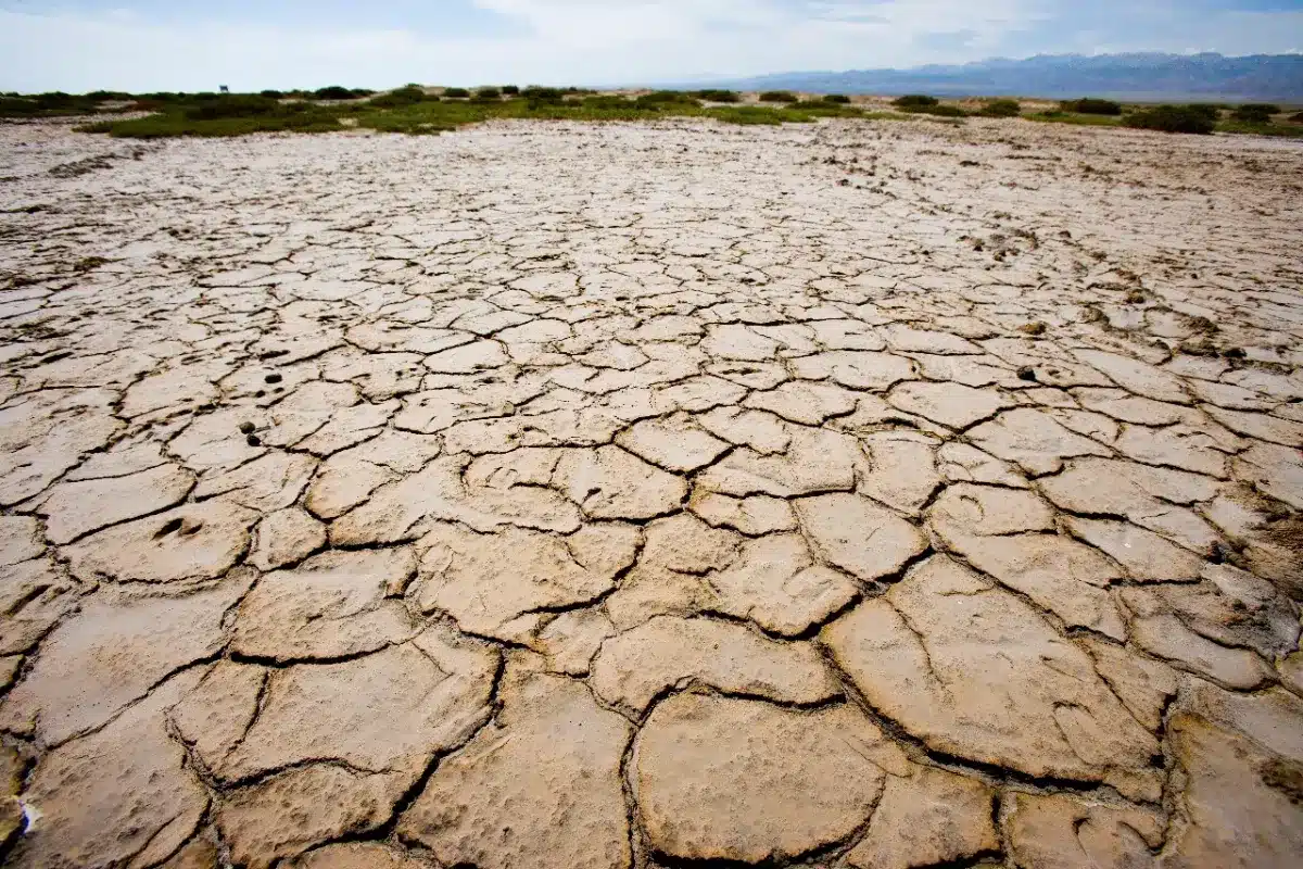Météo France alerte sur un Super El Niño dès l'été 2026 : les ...